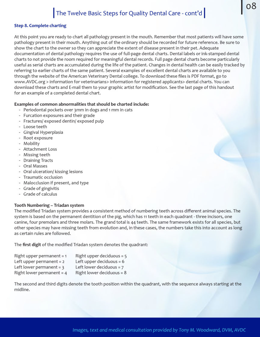 The 12-Step Cleaning Procedure - Dentalaire Products