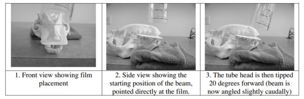 Simplified Positioning for Dental Radiology - Dentalaire Products