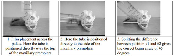Simplified Positioning for Dental Radiology - Dentalaire Products